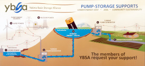 YBSA